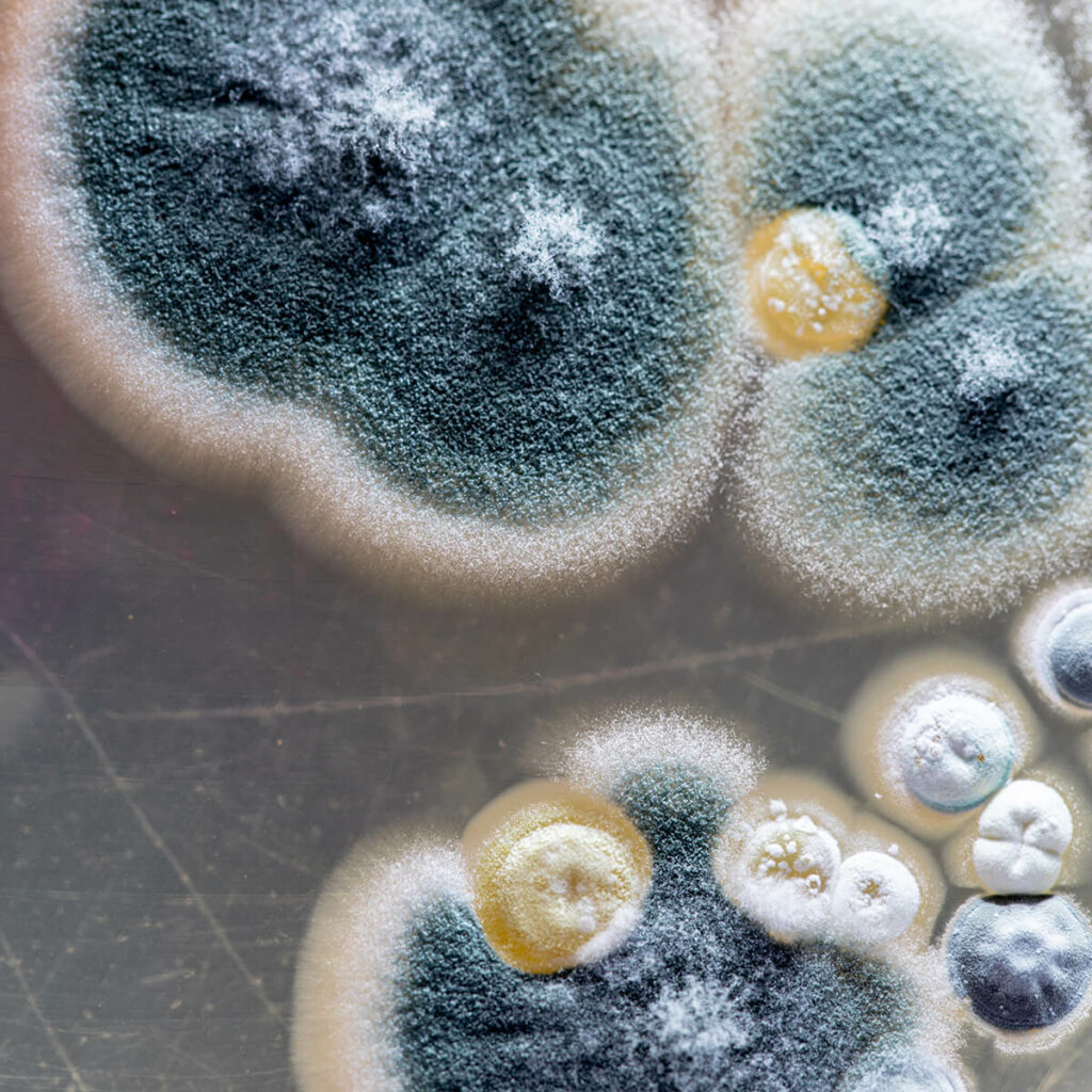 Humidity - TFT Dry Air Solutions